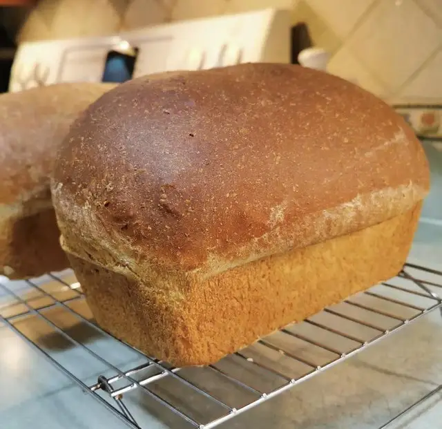 Soft oatmeal sandwich bread | Scrolller