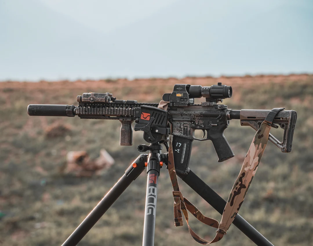 Log on a Bog | Scrolller