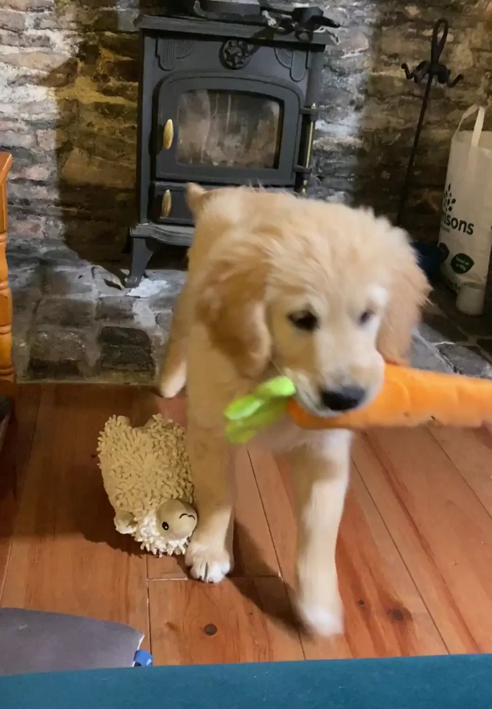 Remember to eat your vegetables | Scrolller