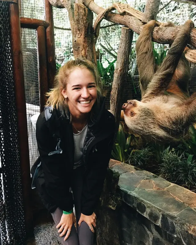 Sloths Aren't Lazy, They Are Energy Efficient | Scrolller