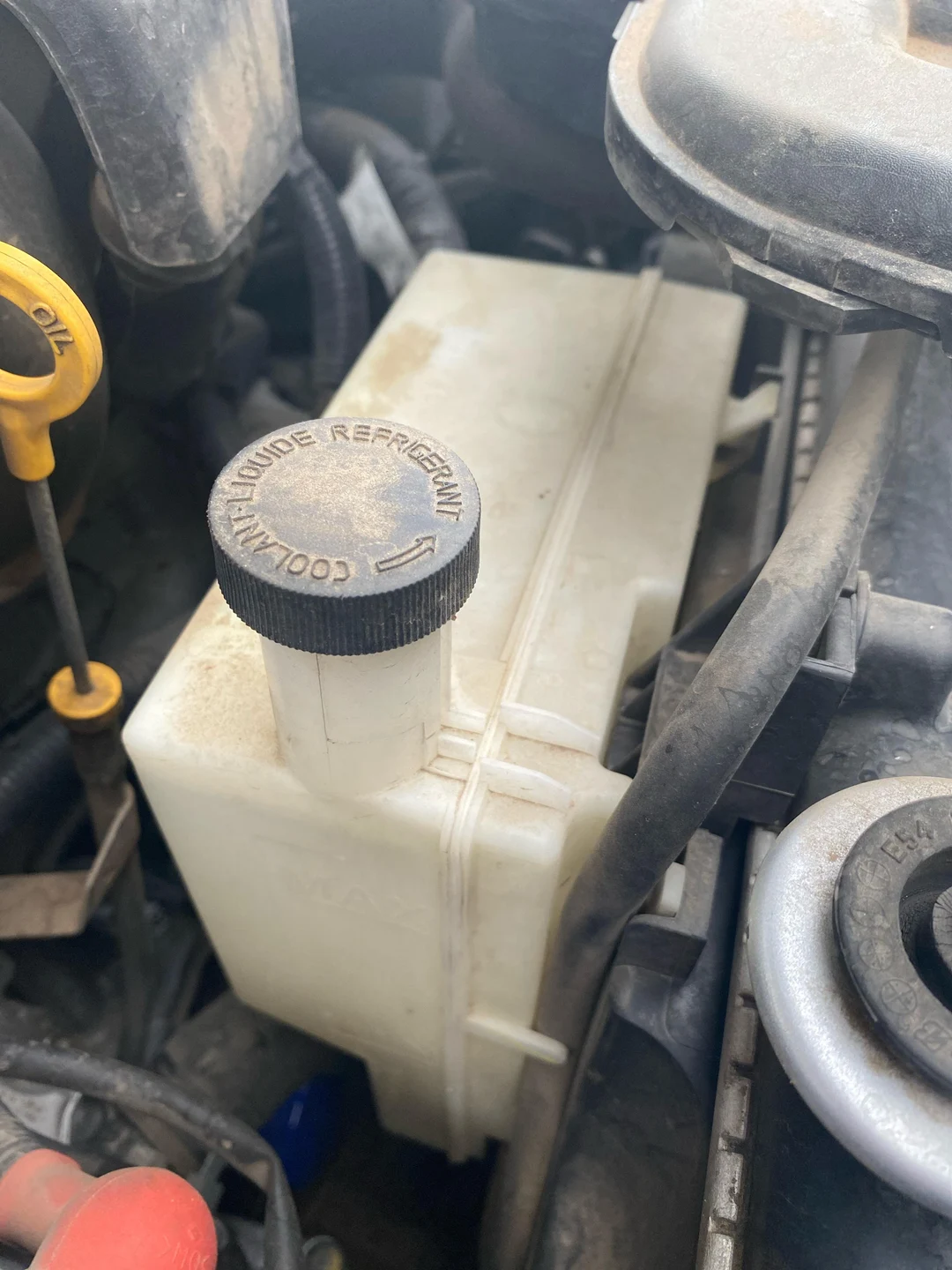 Coolant question | Scrolller