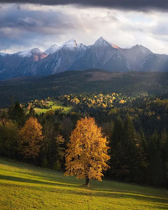 Fall colors in the foothills of the Tatra Mountains, Poland/Slovakia [OC][1200x1500] | Scrolller