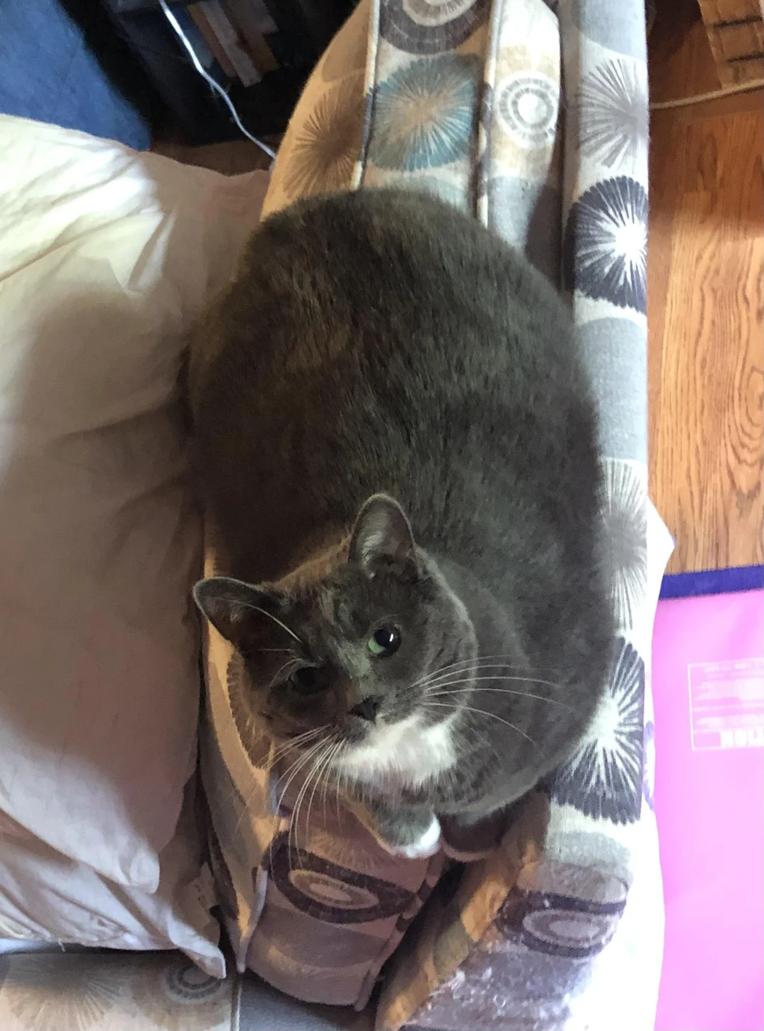 Large Loaf. | Scrolller
