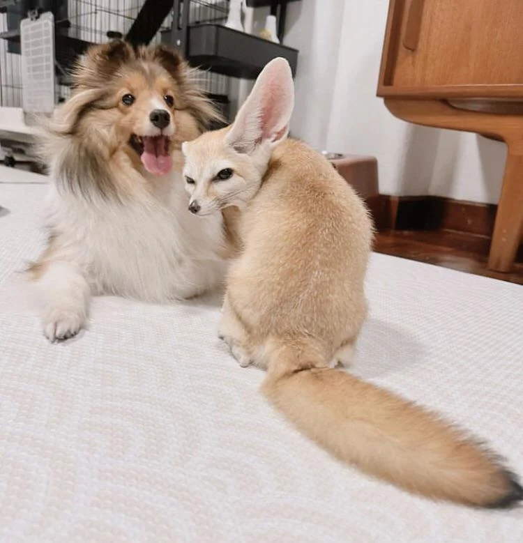 Plotting | Scrolller