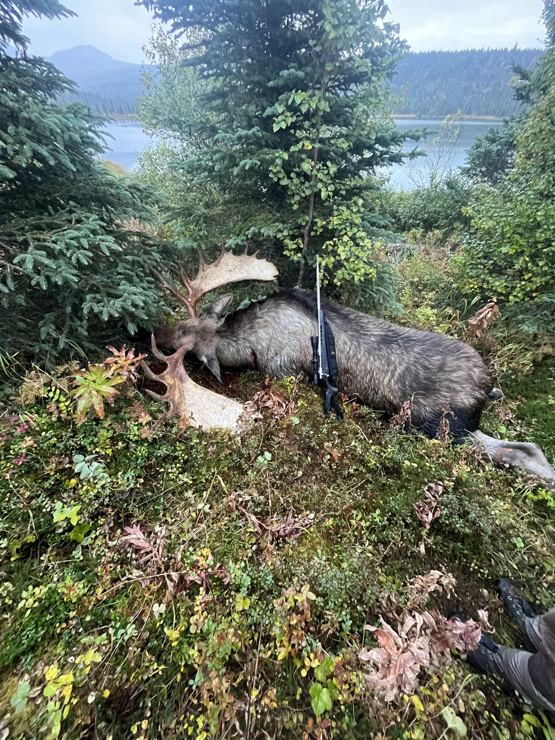 20th of September, 2023 Alaska Penisula. | Scrolller