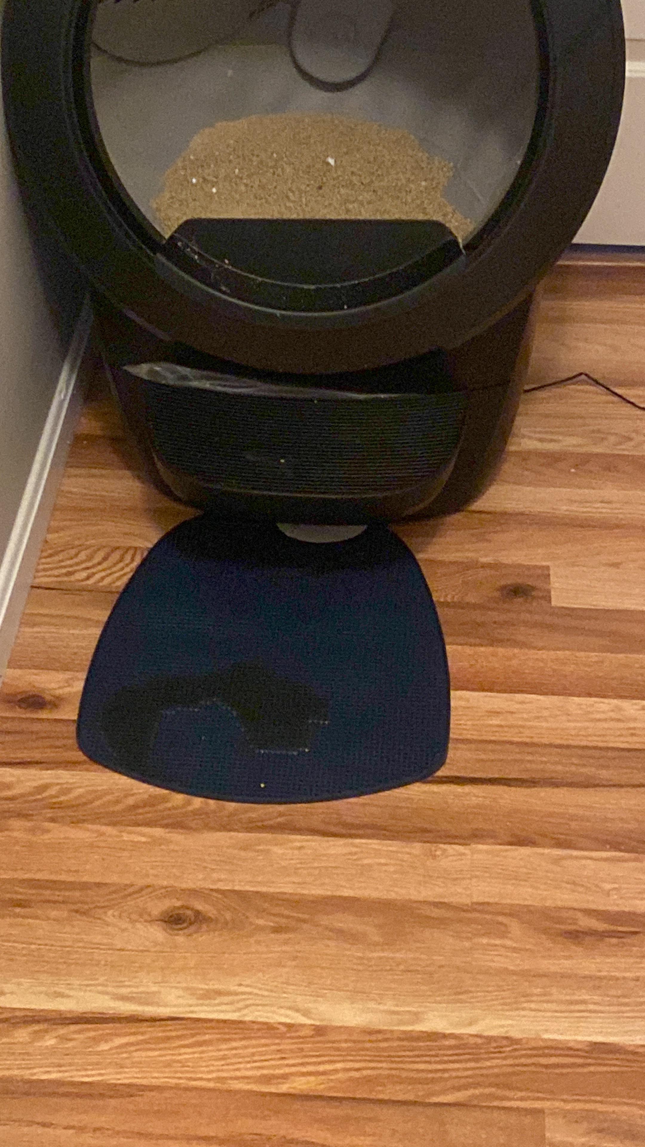 Please help. Any advice is appreciated. My cat pees outside the litter box and I’ve changed so ...