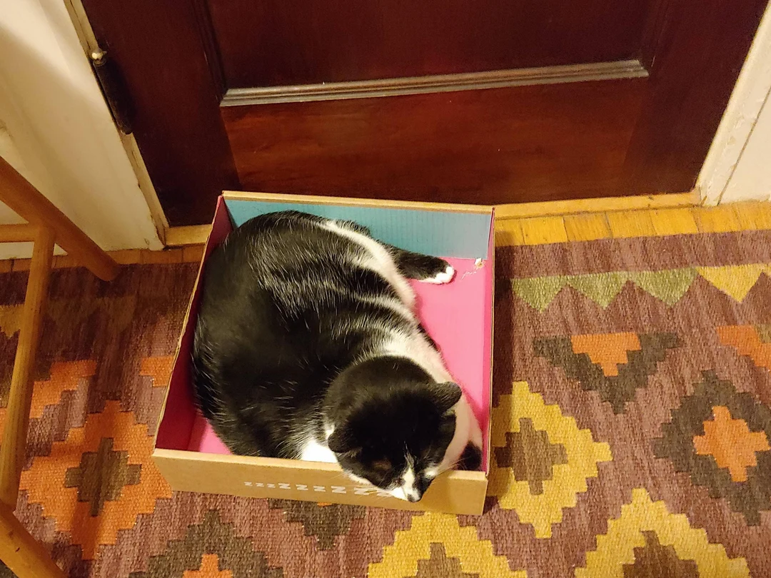 The trap is successful! | Scrolller