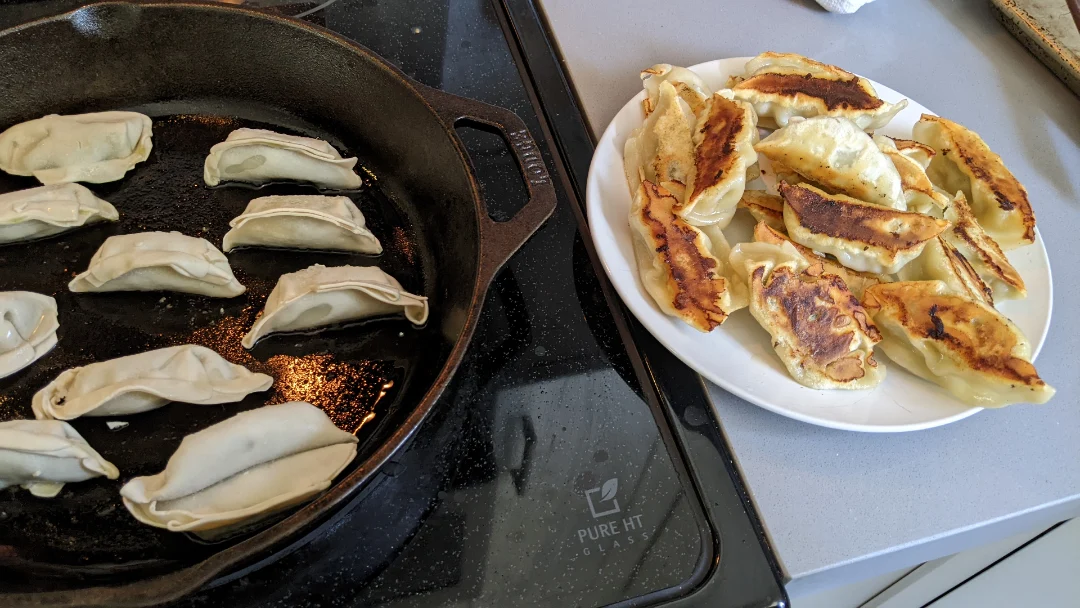Pot-stickers in the cast iron! | Scrolller