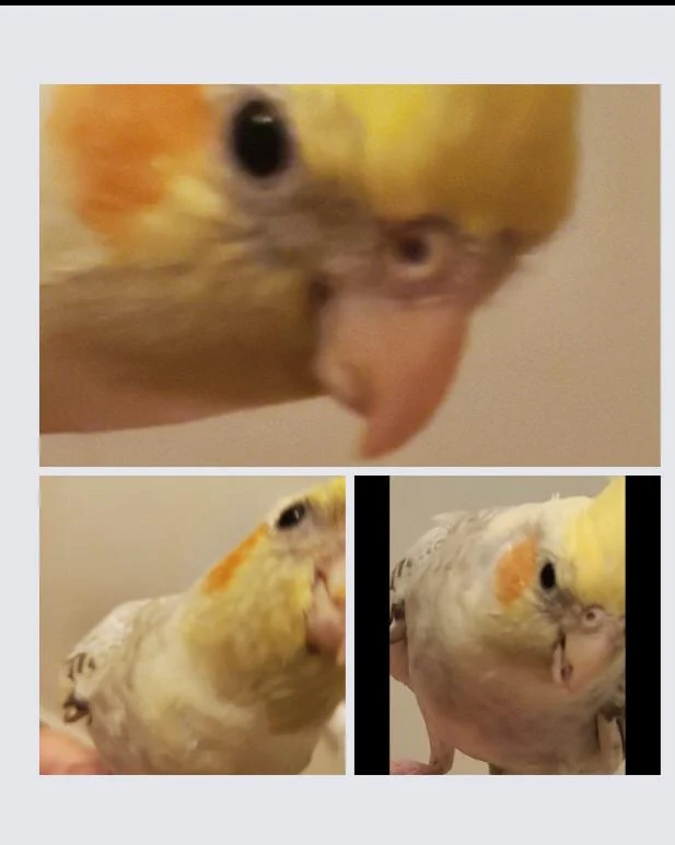 Chaotic Evil | Scrolller