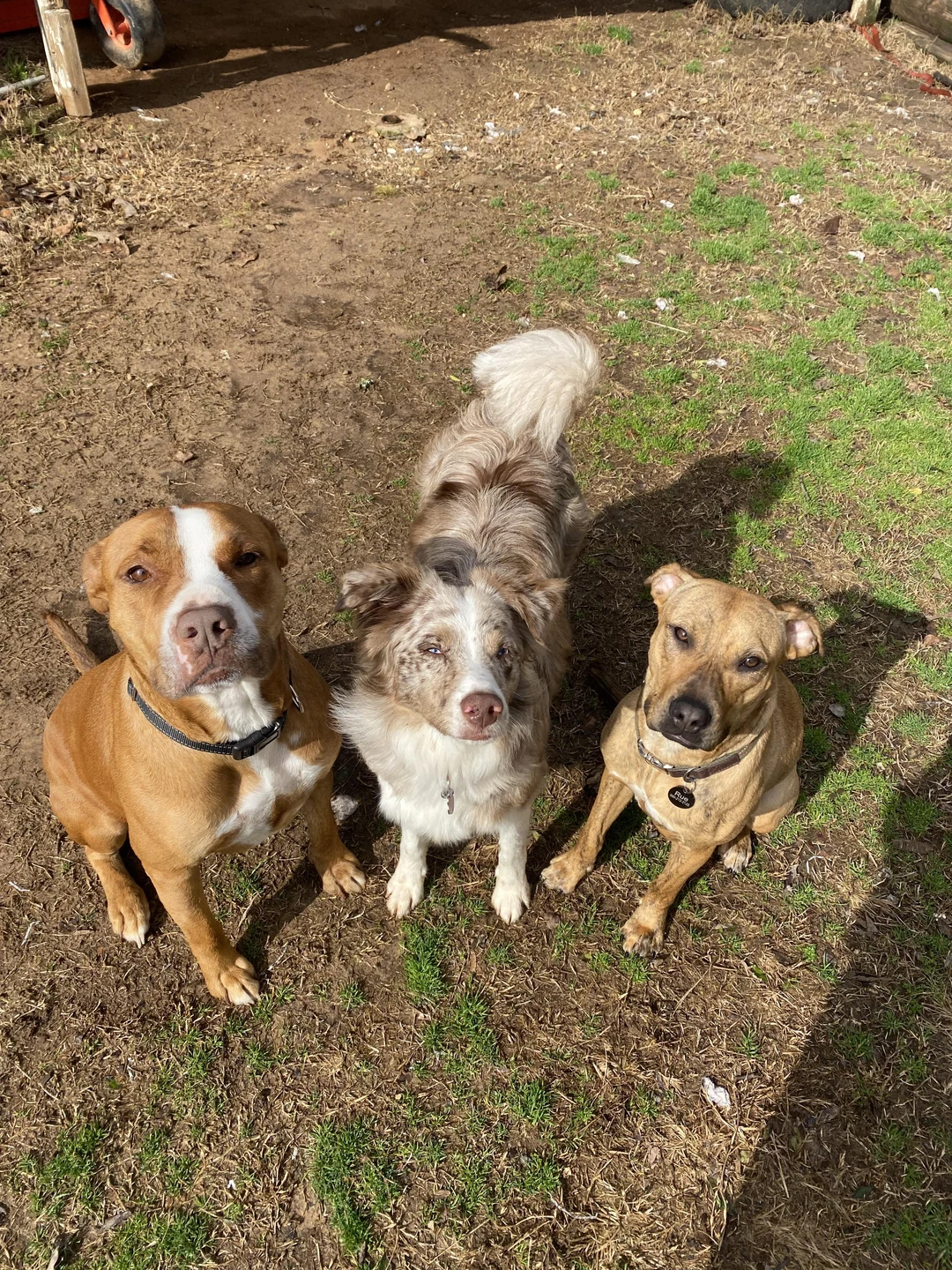 we could never be cooler than them ; they have broken the rad scale | Scrolller