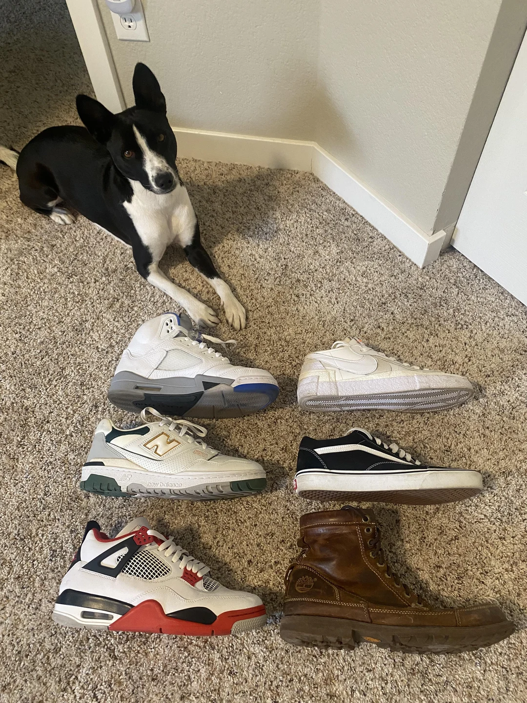 My current rotation | Scrolller