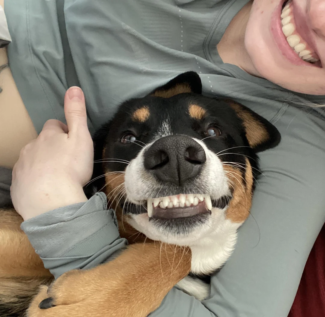 Smiley boy | Scrolller