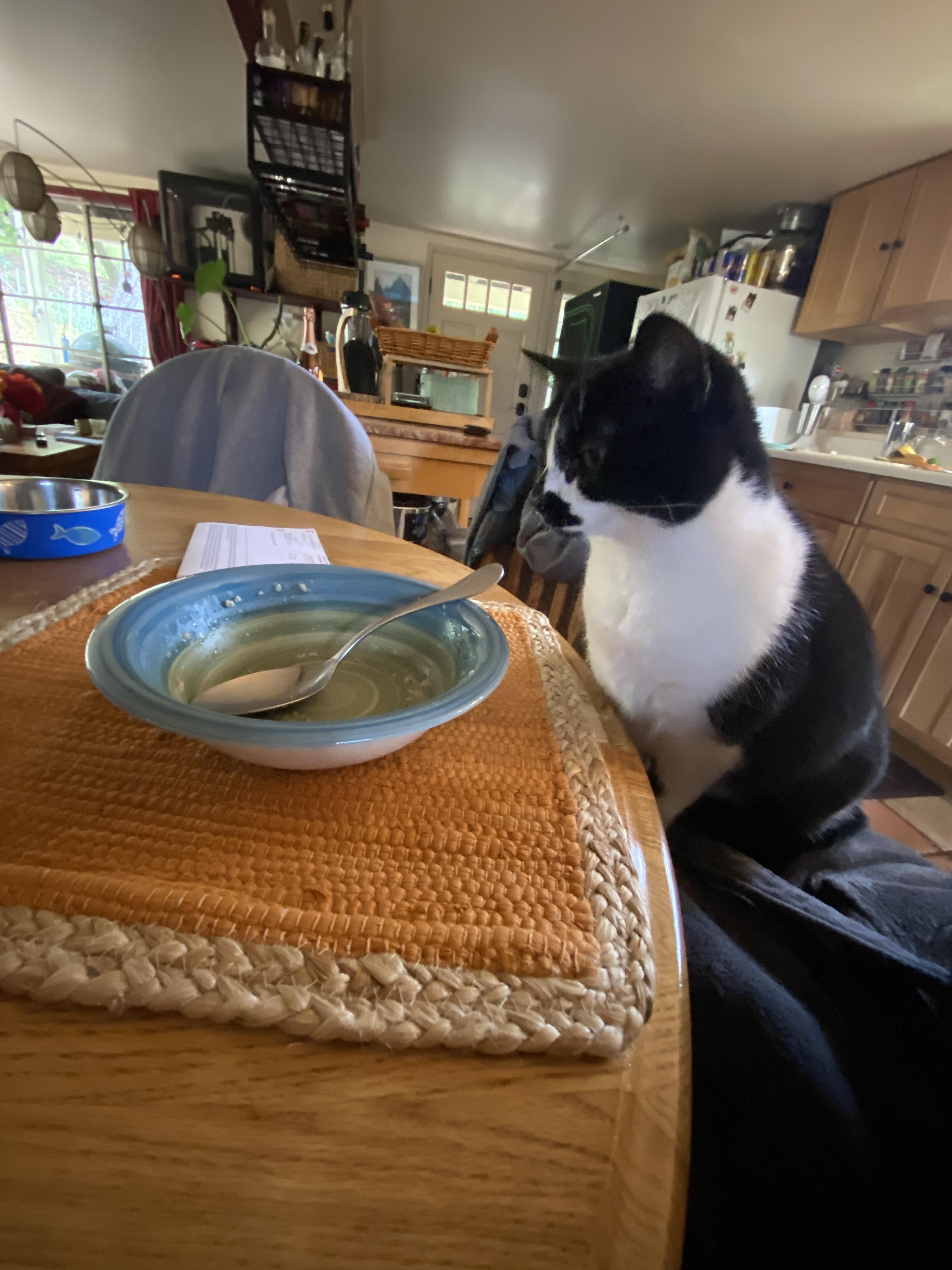 She loves oatmeal | Scrolller