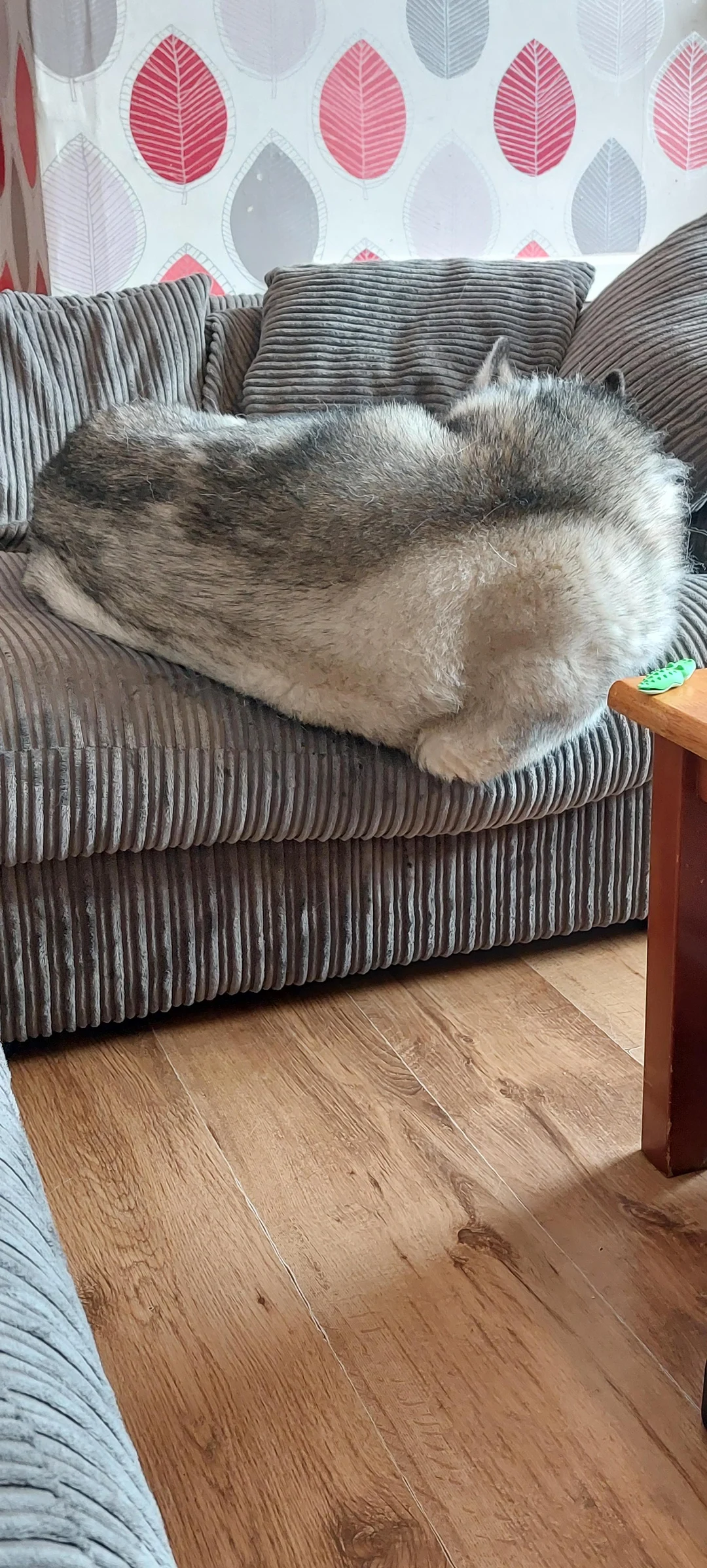 Cliff Hanger | Scrolller