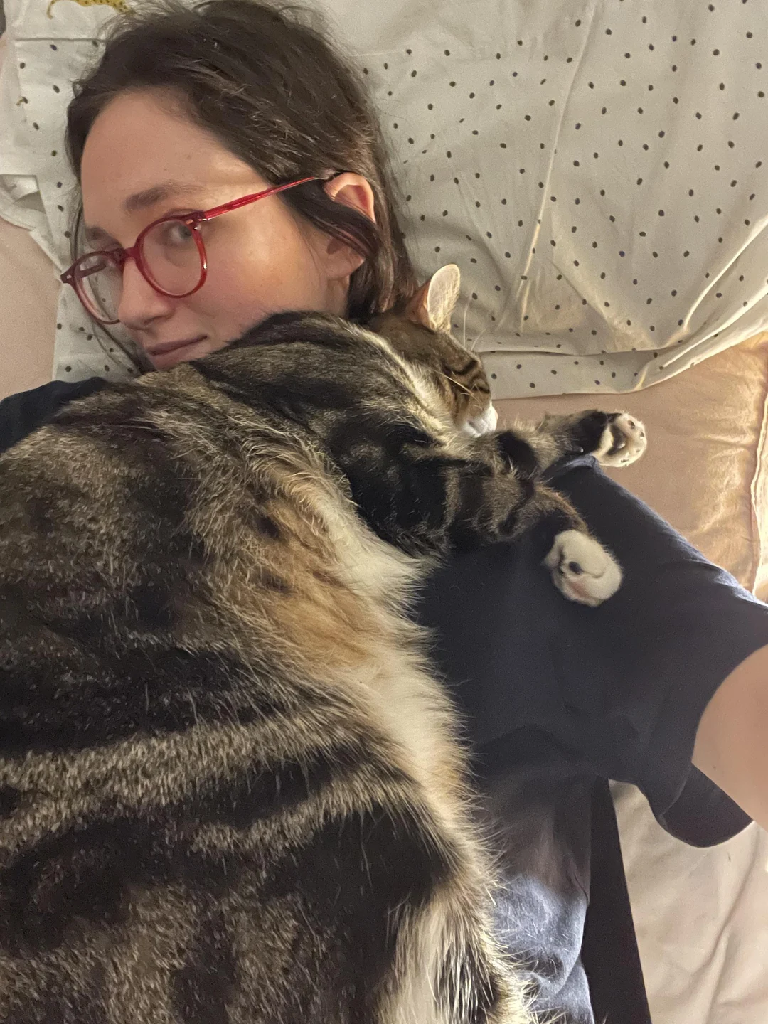 Having a bad brain day today. I think Fred realised ️ | Scrolller