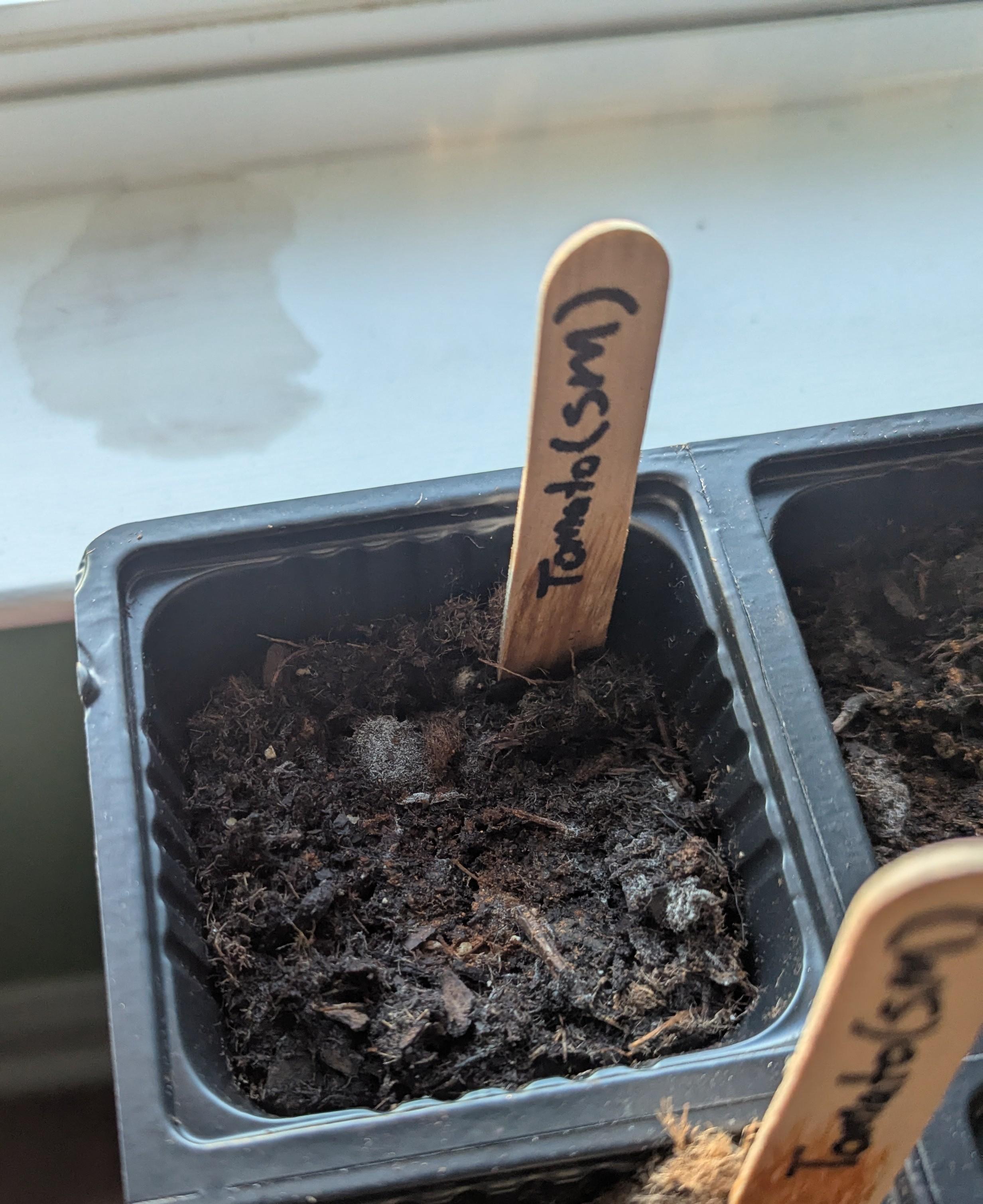 Should I be worried about this mold? | Scrolller