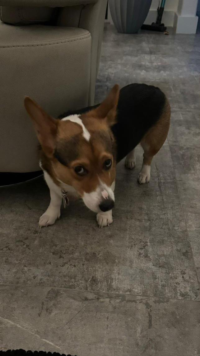 Side eye | Scrolller