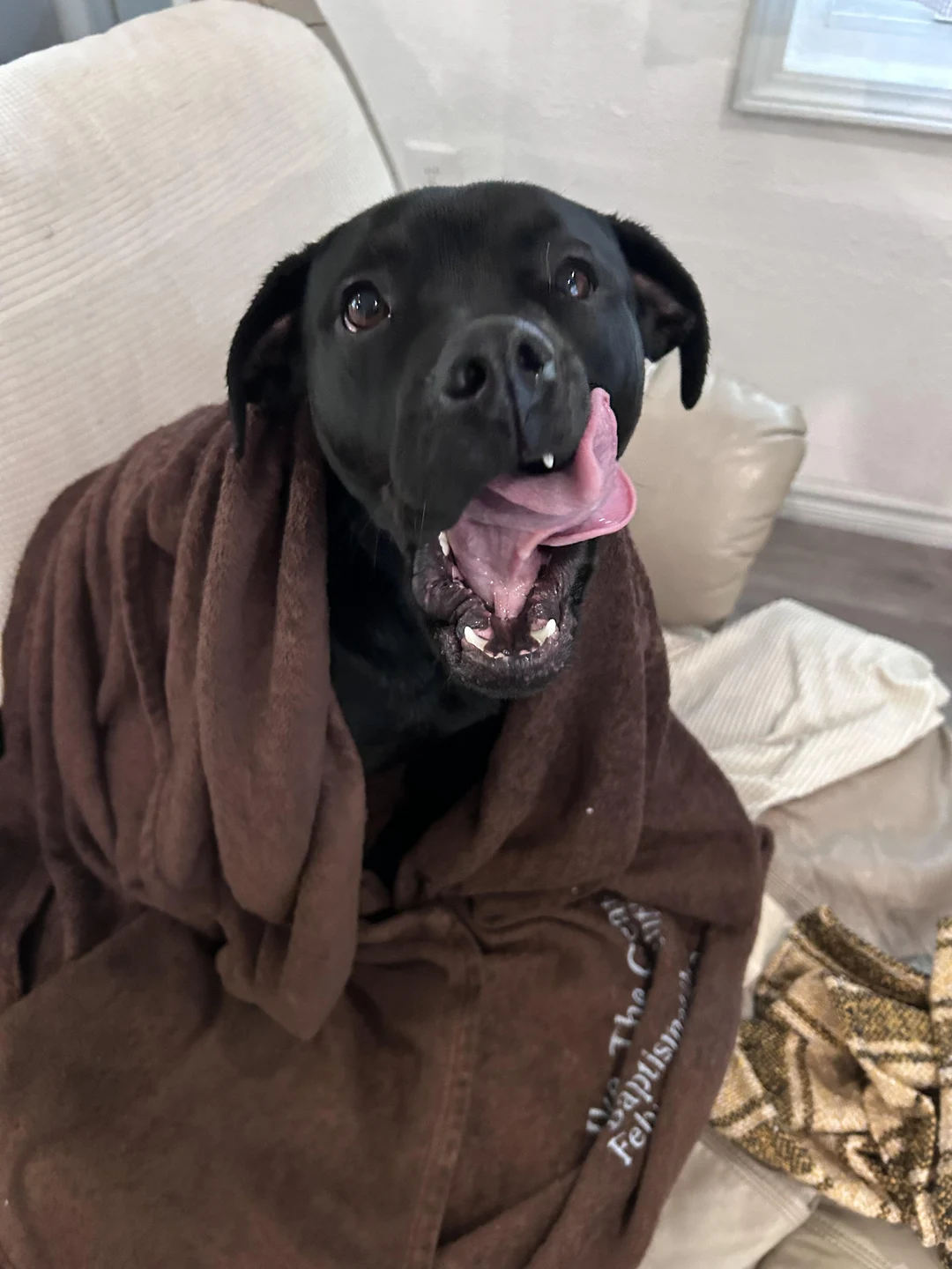 Jackass got a bath | Scrolller