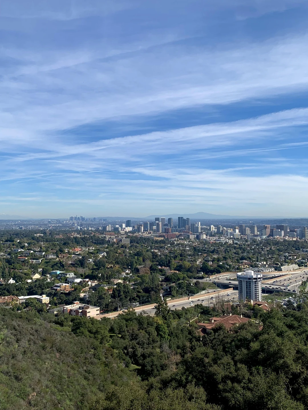 LA’s Other Skyline | Scrolller