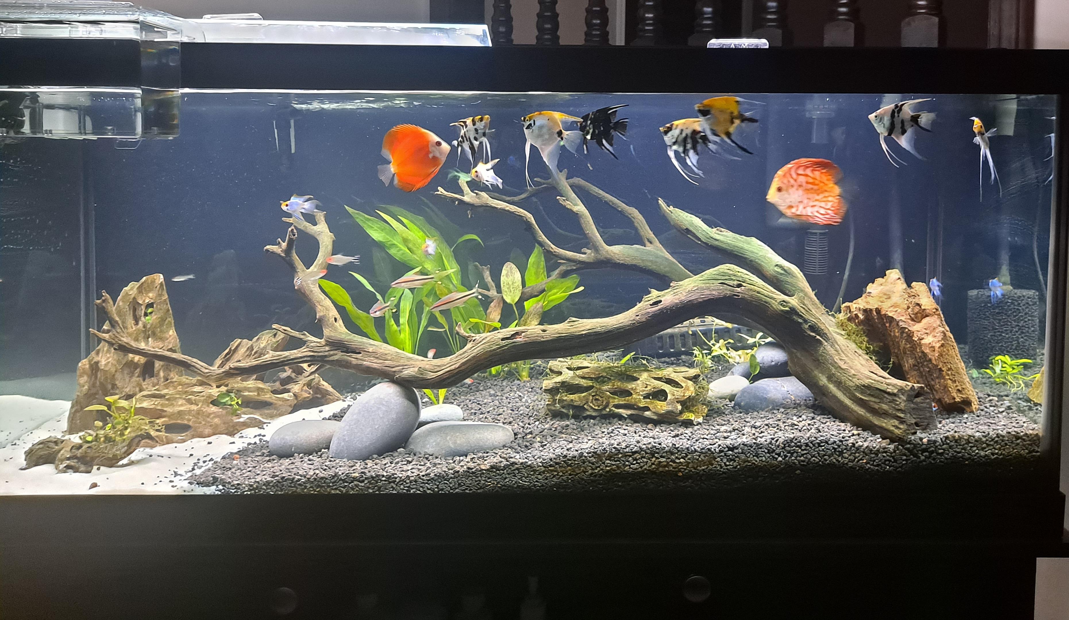 Help with plant placement | Scrolller