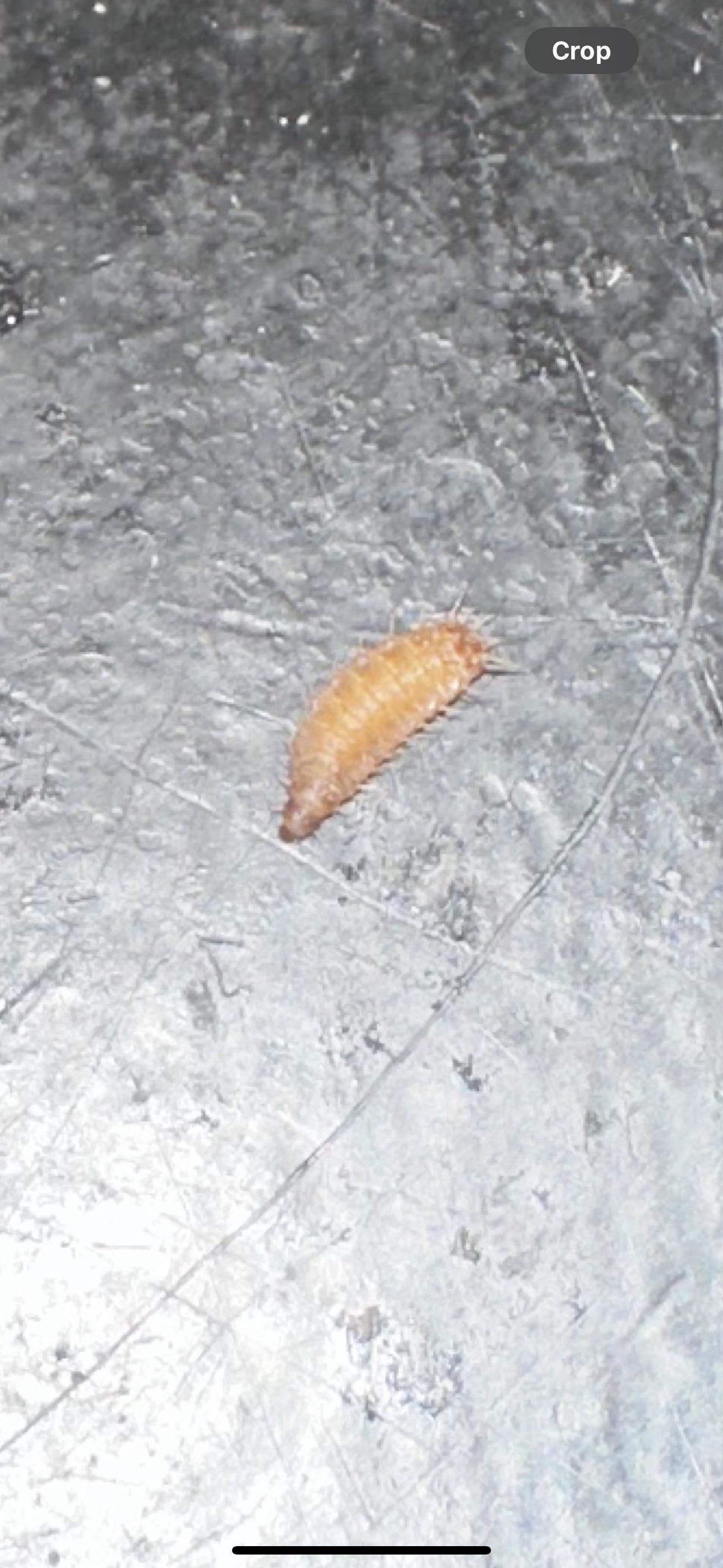 Parasite ID | Scrolller