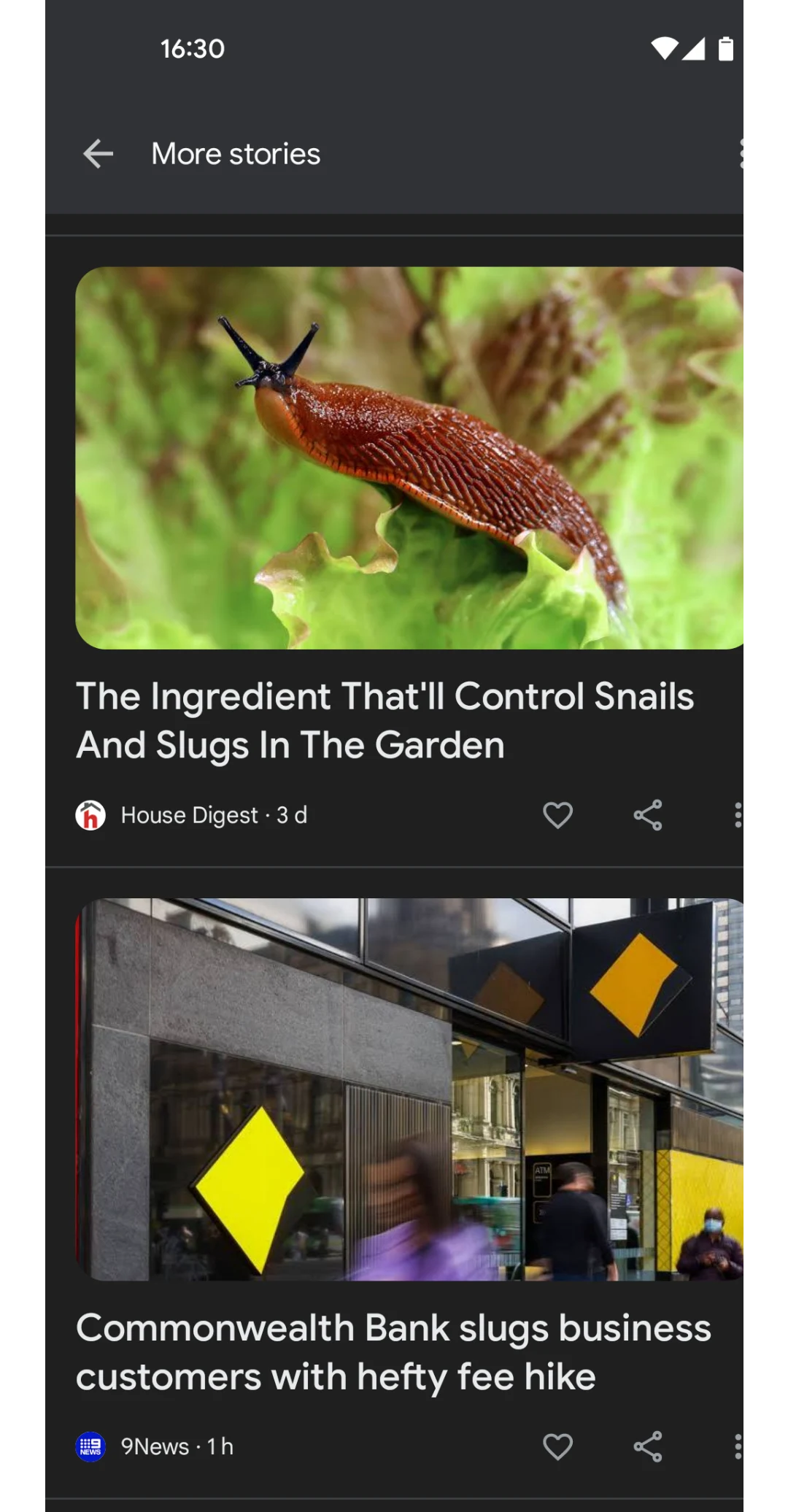 Slugs everywhere | Scrolller
