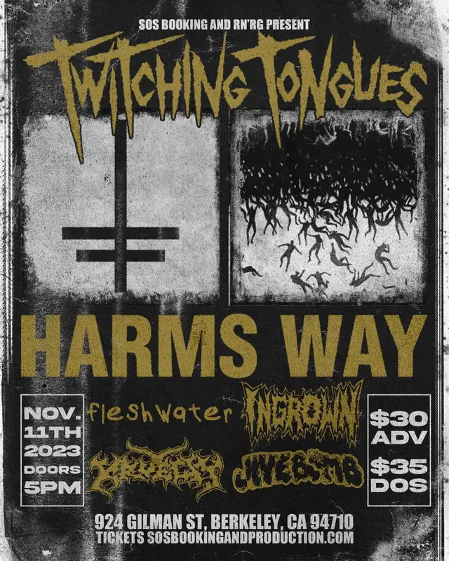 Twitching Tongues return to the bay! | Scrolller