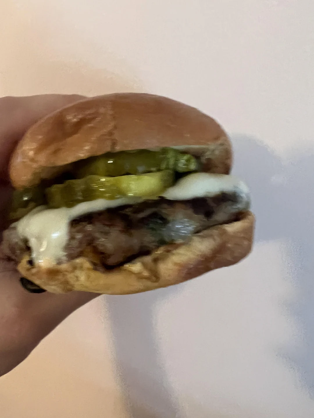 Blurry pic but a bangin turkey burger, ciabatta bun, spicy mayo, cheese, extra pickles. | Scrolller