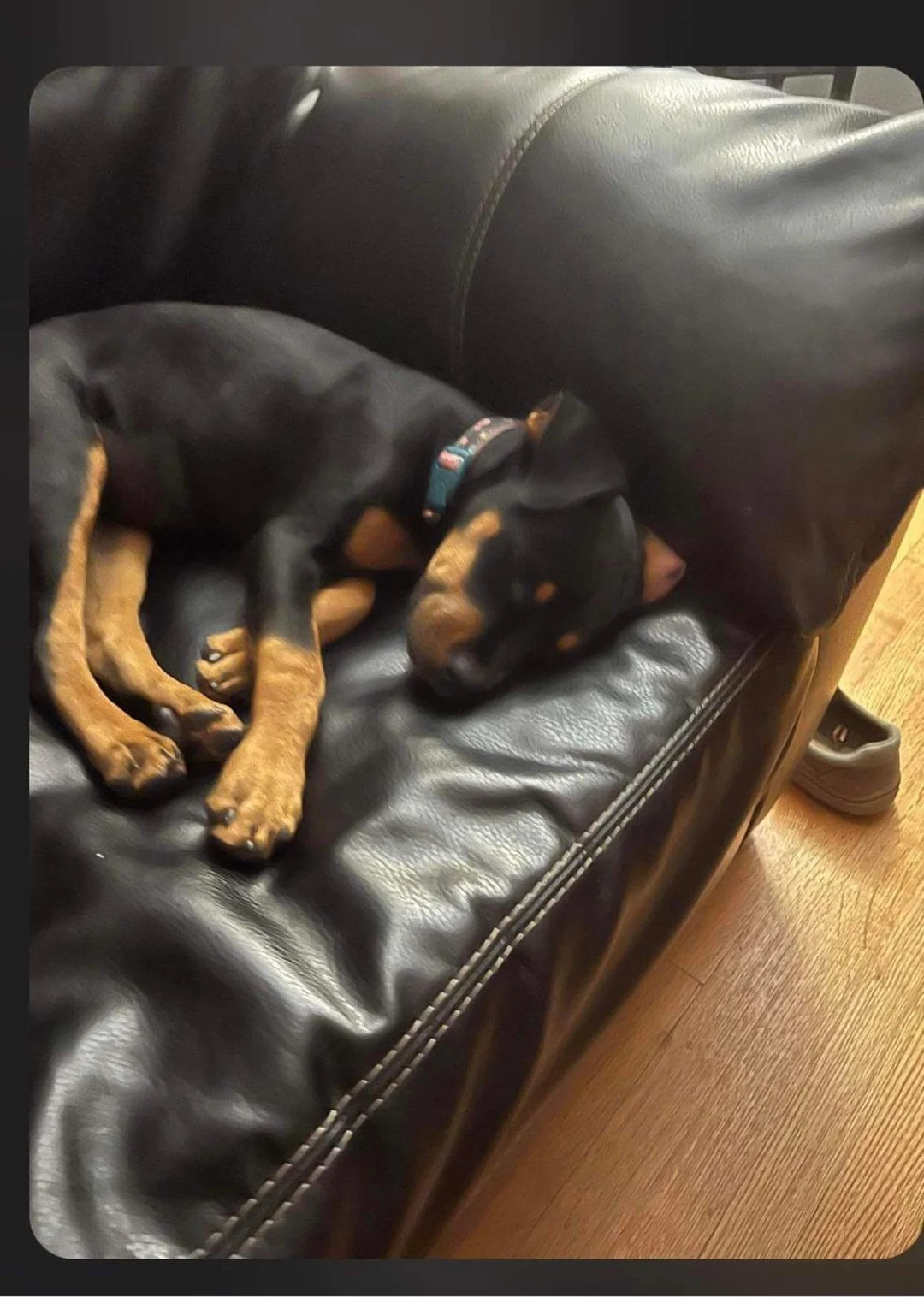 Discover more like Cute: 2.5 vs 5 months and Related Content | Scrolller