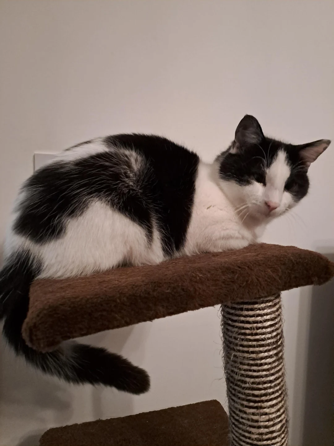 Leaning tower of chonky loaf | Scrolller