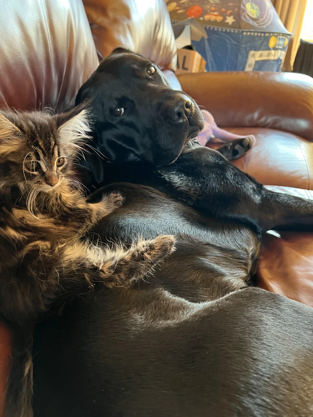 Alaska’s settling in. | Scrolller