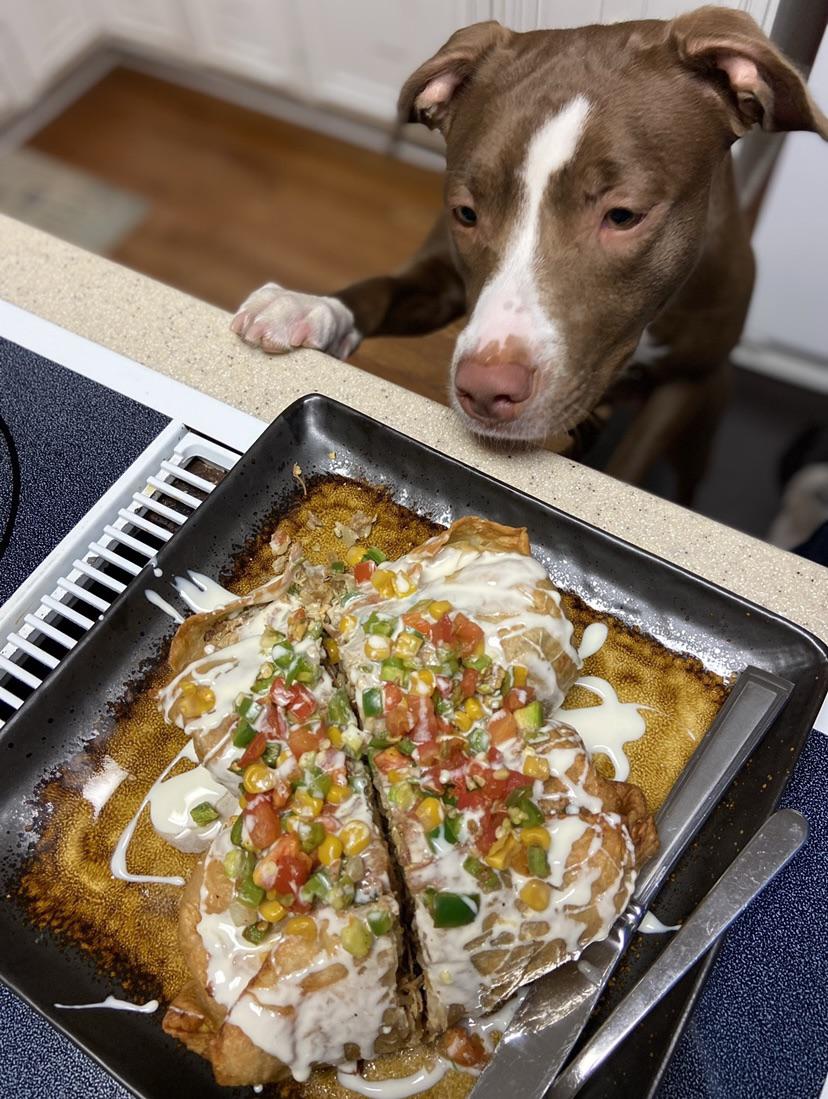[Homemade] Fried Burrito topped w/ street corn & Queso | Scrolller