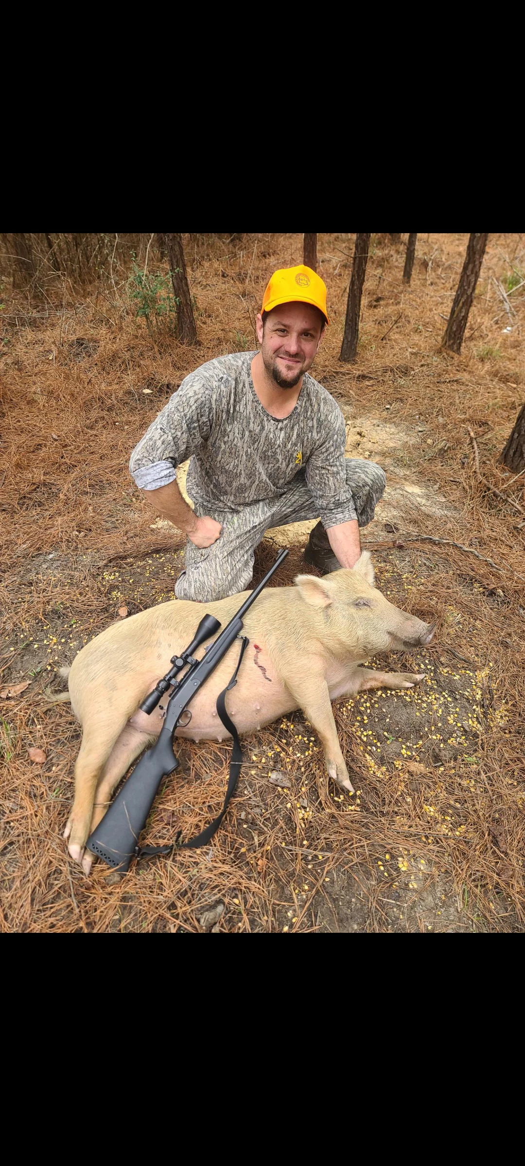 here piggy piggy | Scrolller