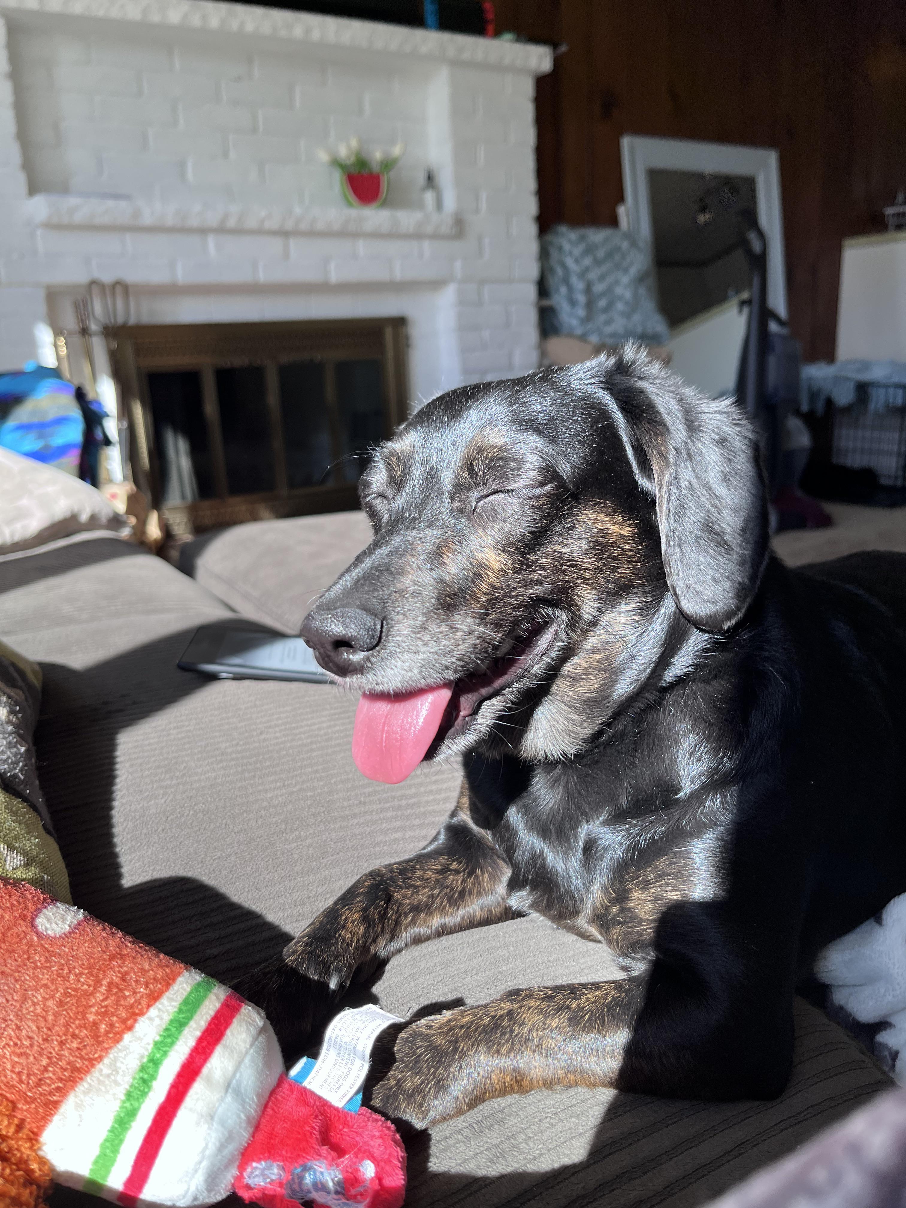 (OC) Susie loves sunbathing | Scrolller