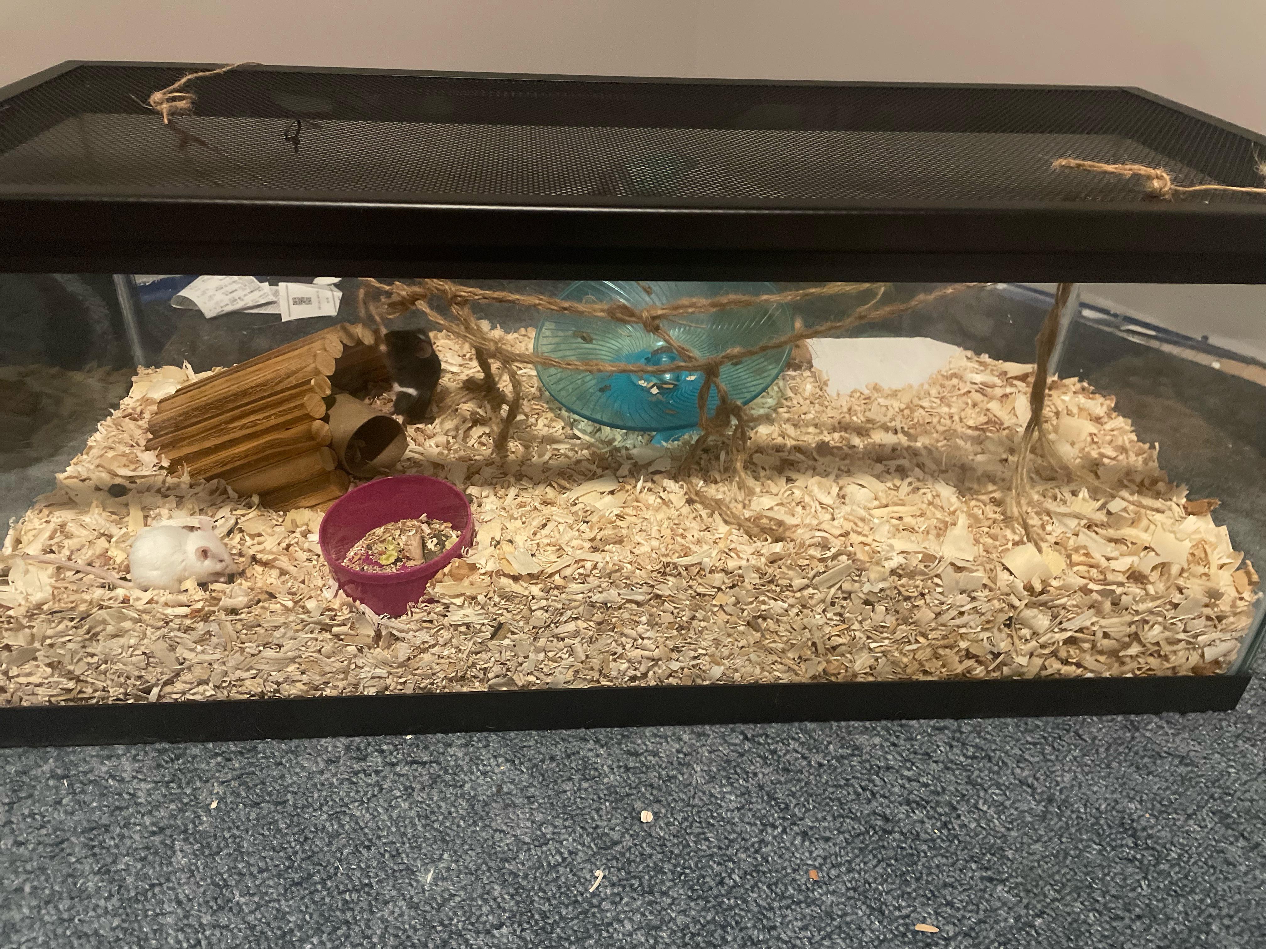 Plants in an enclosure | Scrolller