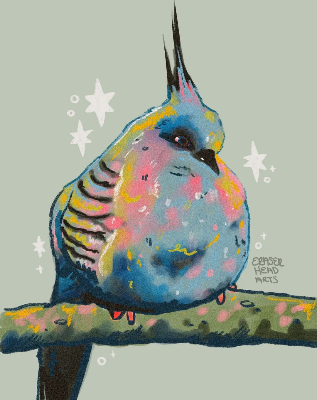 Australian Crested Pigeon by me! | Scrolller