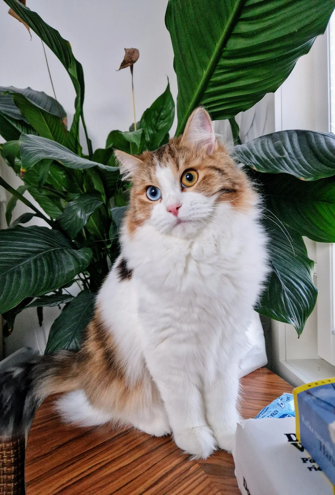 Just posing | Scrolller