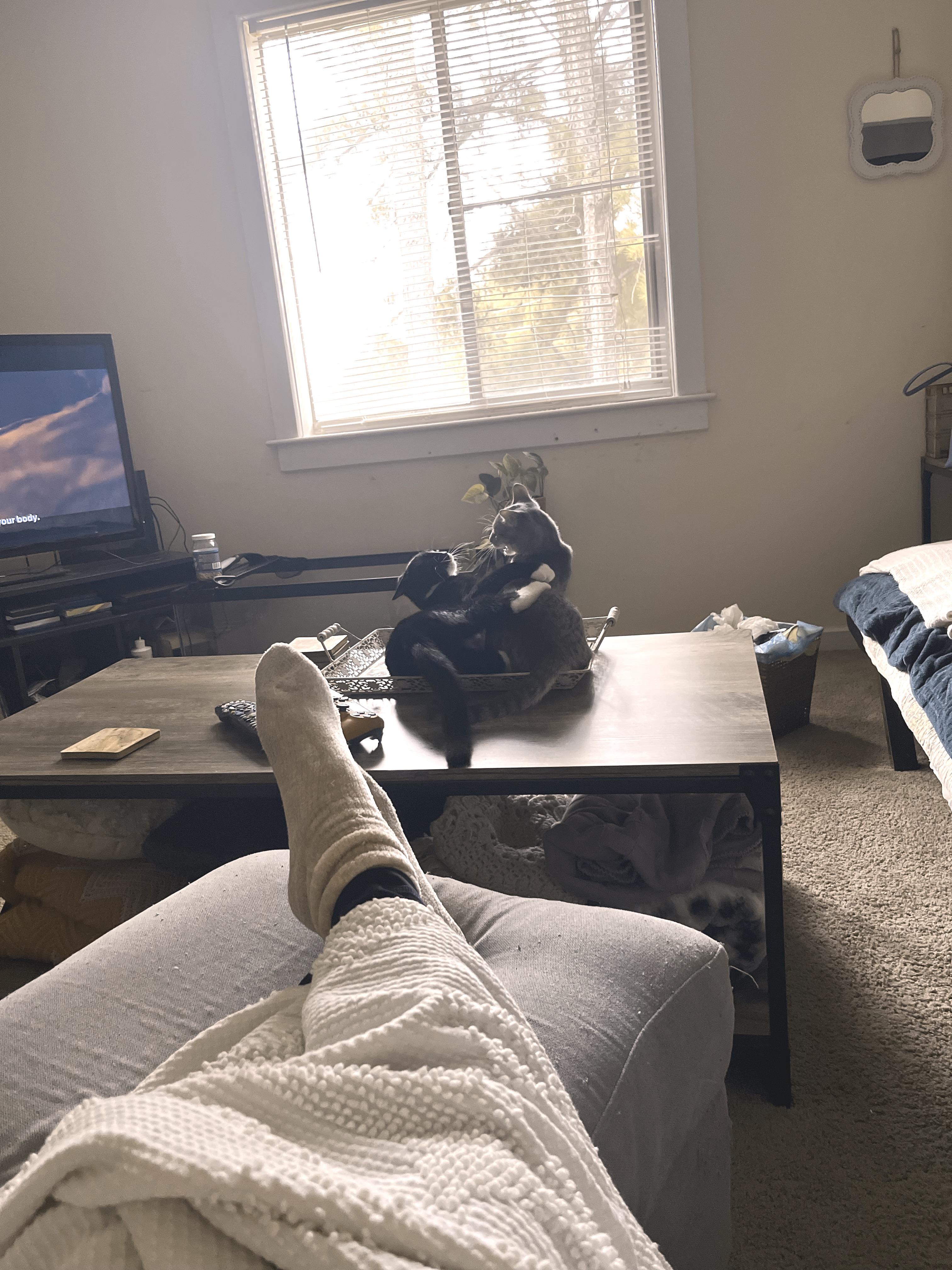 Sibling luv | Scrolller