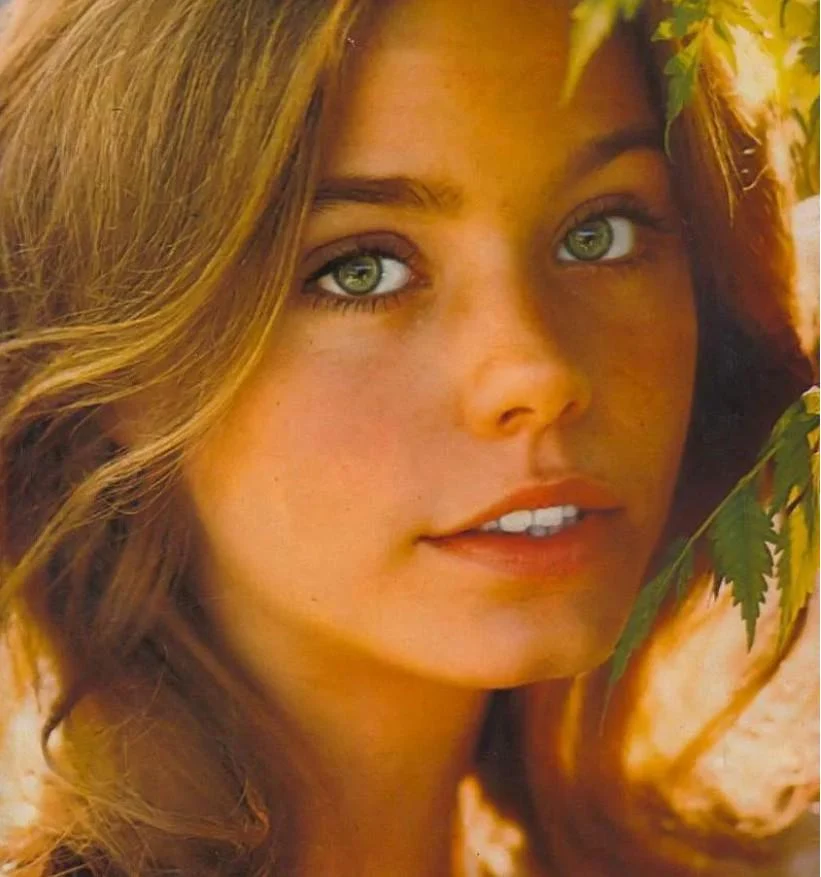 Susan Dey | Scrolller