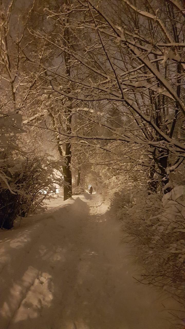 Outskirts of Moscow | Scrolller