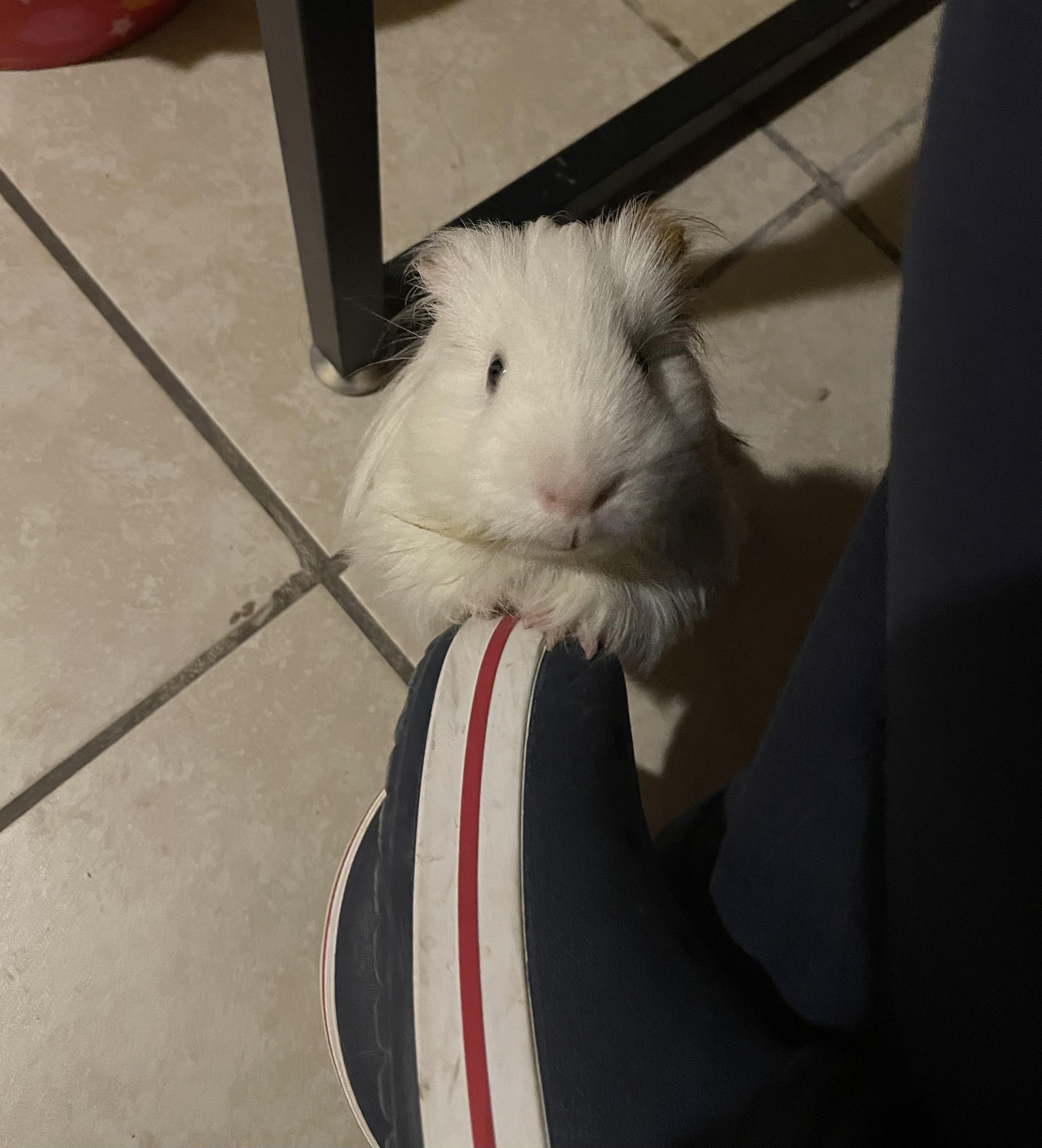 More snacks mom | Scrolller