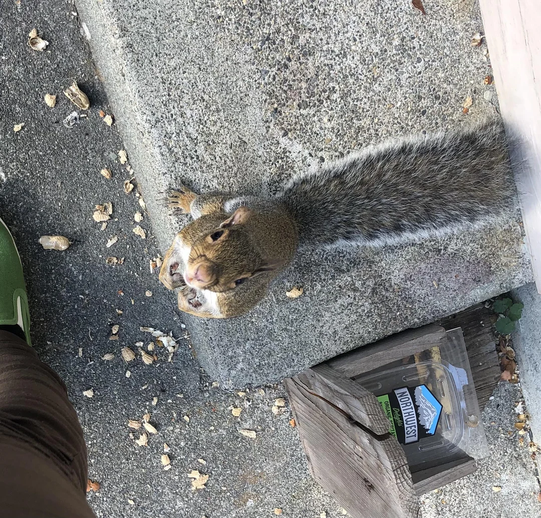 Politely asking | Scrolller