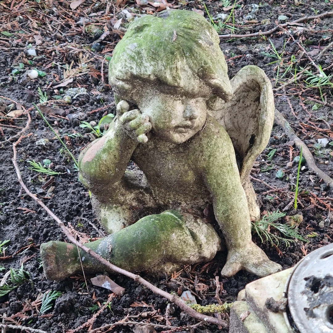 Was walking through a Beautiful cemetery in Suffolk England and saw this little guy. | Scrolller