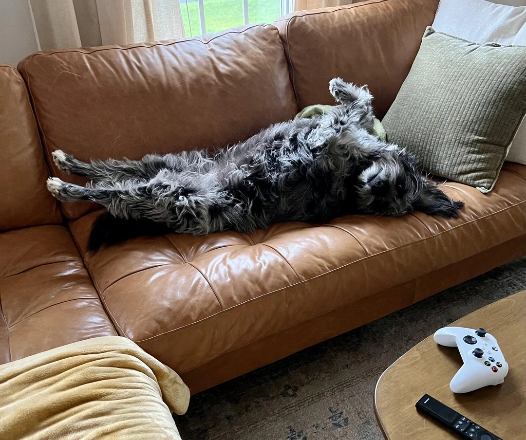 just lounging, very normal | Scrolller