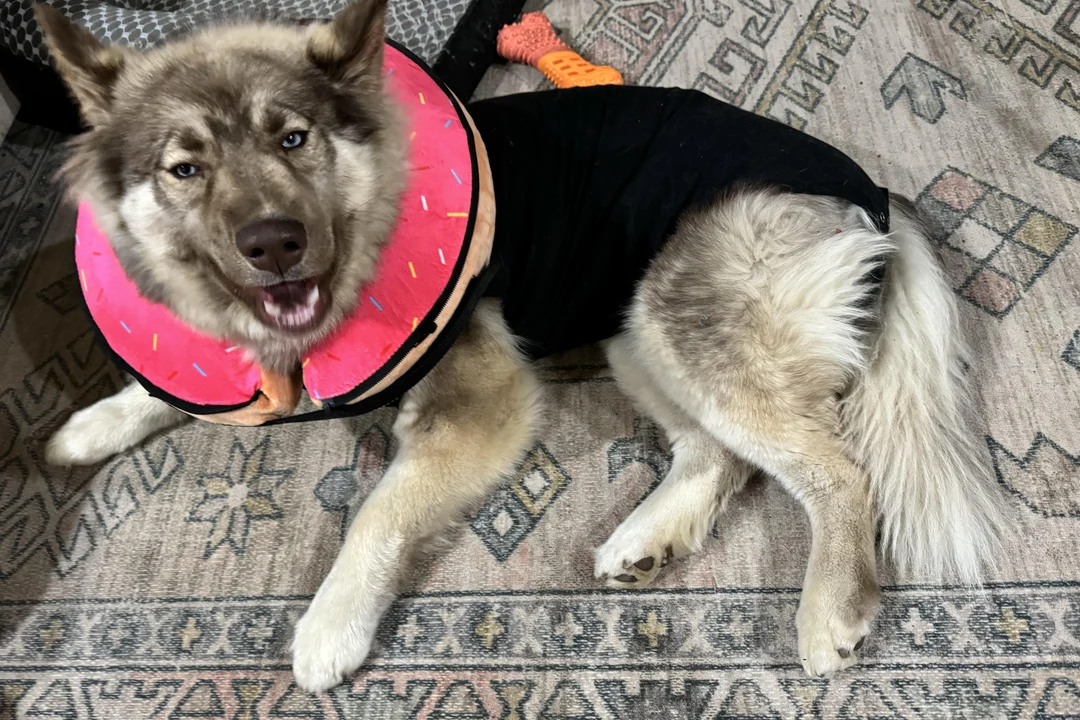 Finally caught her being a derp! | Scrolller