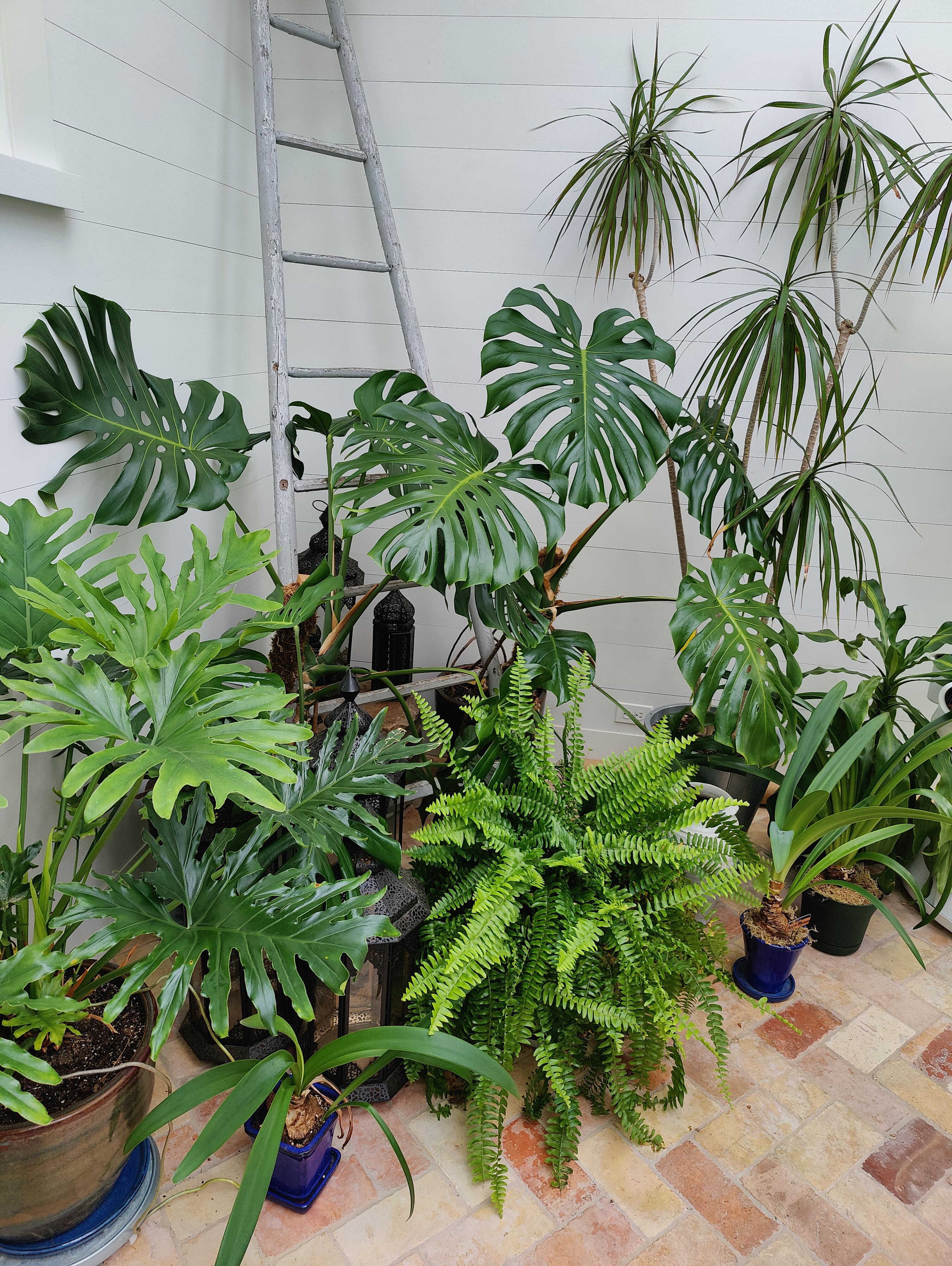 Happy Corner! | Scrolller