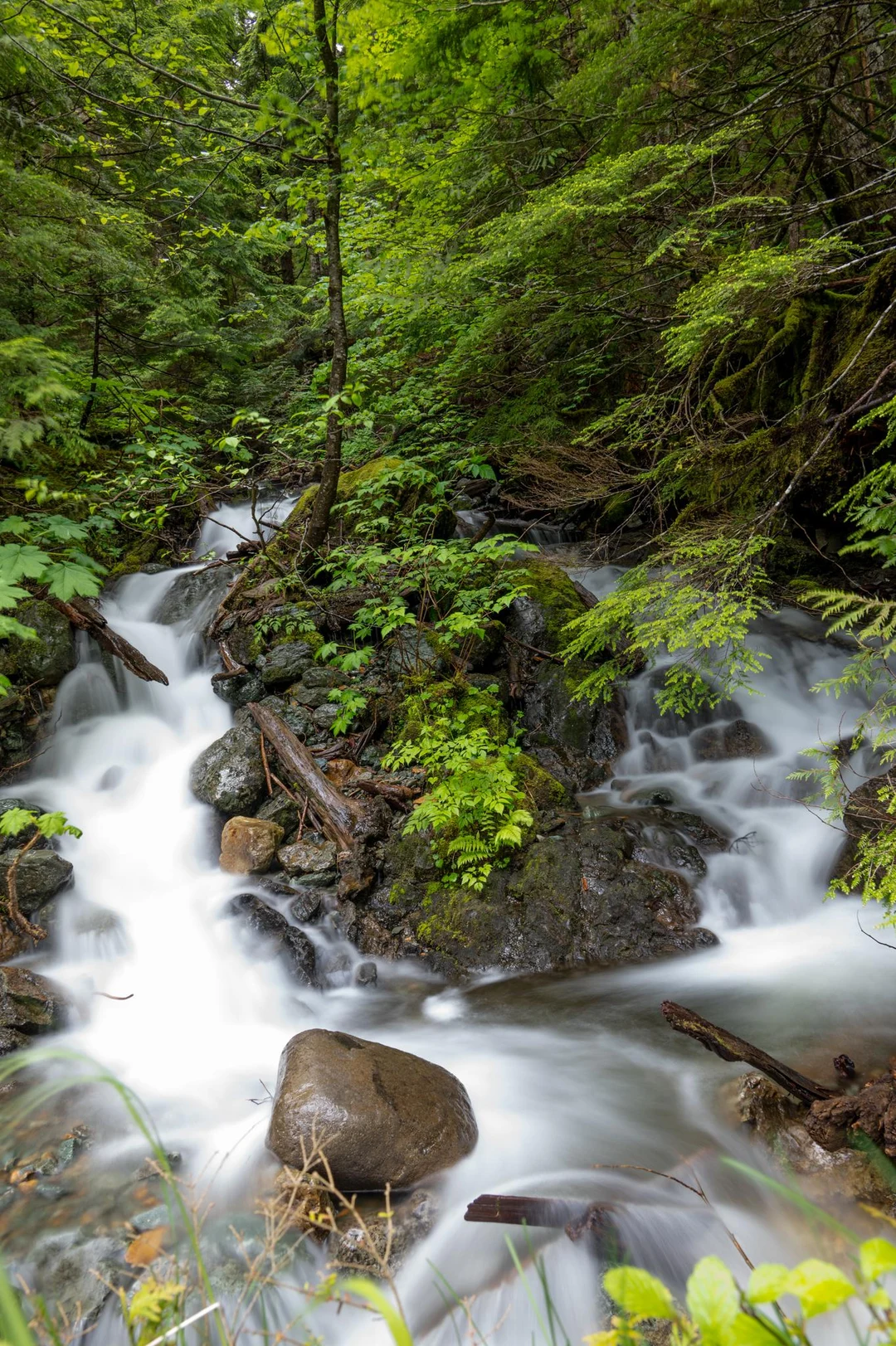 Bagley Creek in the Mt. Baker-Snoqualmie National Forest [1363x2048][OC] | Scrolller