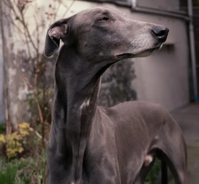 Albus wishes you all a nice and relaxing weekend ☺️ | Scrolller