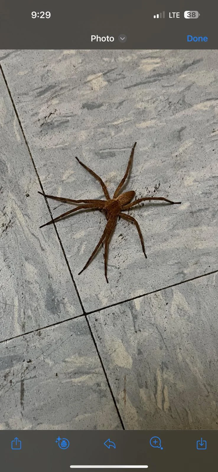 ID Request | Scrolller
