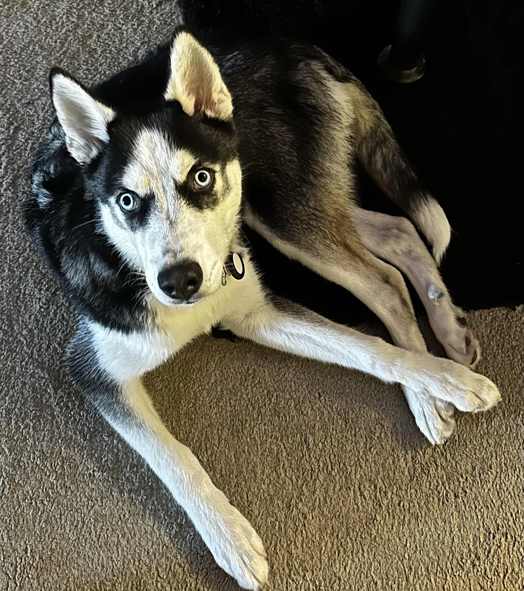 Just had a bath, 2 towels and a blow dry. | Scrolller